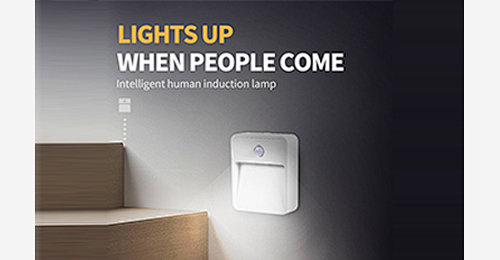 smart night light factory