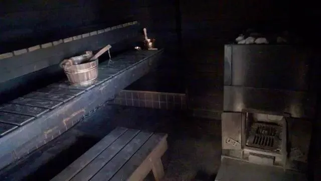 The history of the development of different types of saunas