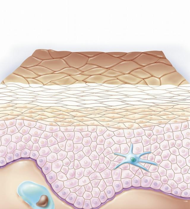 IS INFRARED SAUNA GOOD FOR SKIN？ - Huizhou Alpha Sauna Swimming Pool ...