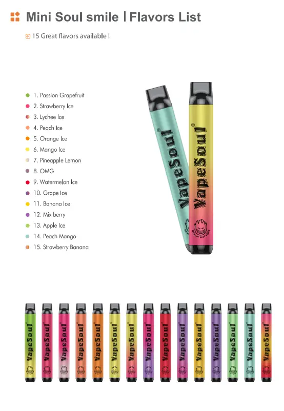 disposable vape vapesoul Mini soulsmile 1000puffs vape mini vape vape ...