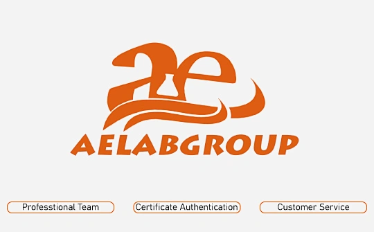 AELAB GUANGZHOU CO.,LTD
