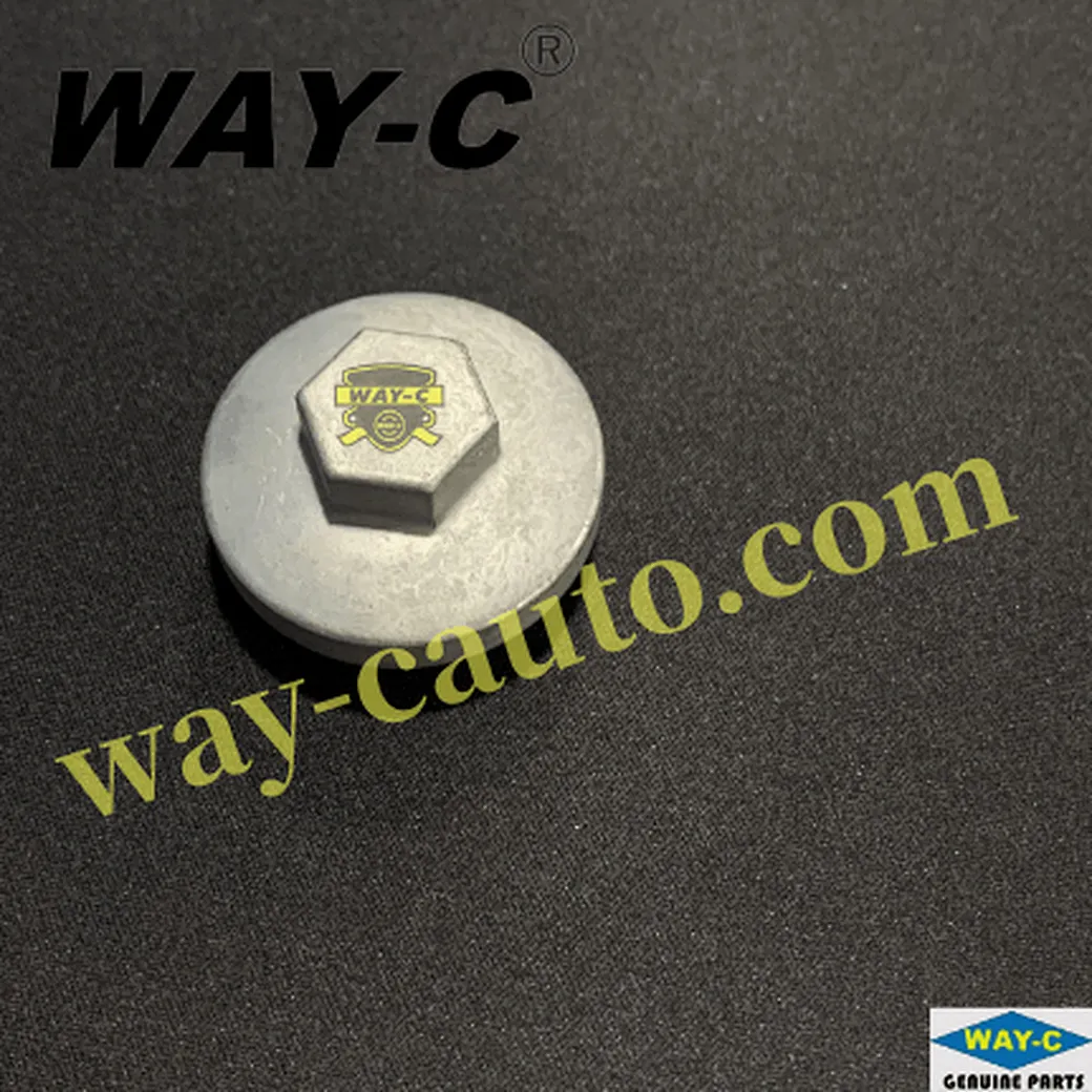 TVS KING CAP INSPECTION HOLE R1011010