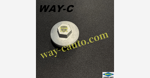 TVS KING CAP INSPECTION HOLE R1011010