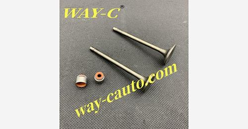 M7322010 ENGINE VALVE KIT TVS APACHE RTR 180