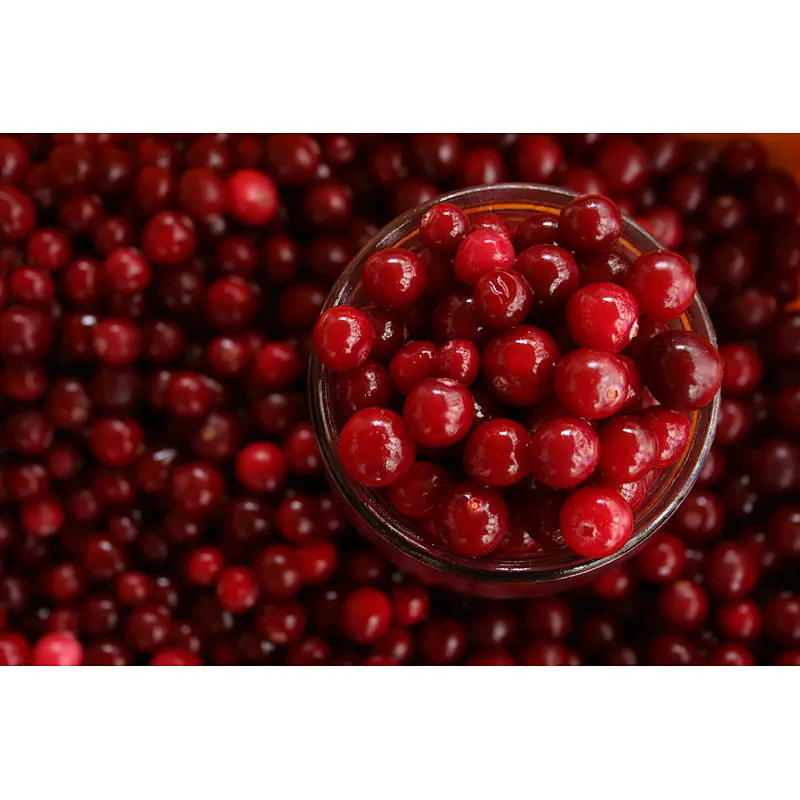 Organic Cranberry Extract - Herb Green Health Biotech