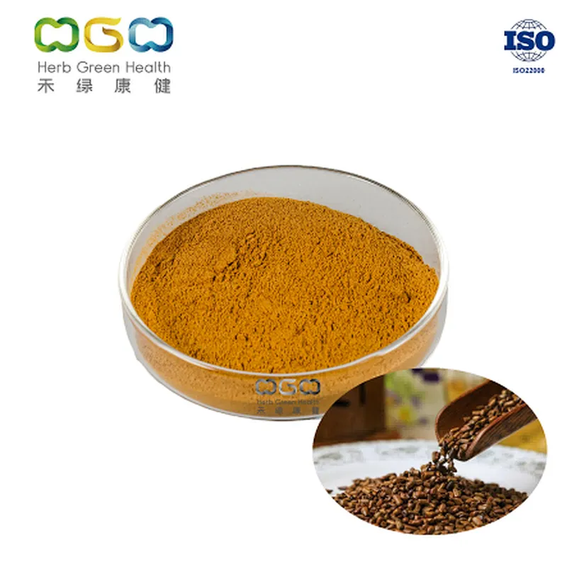 Cassia Seed Extract Manufacturer - Herb Green Health