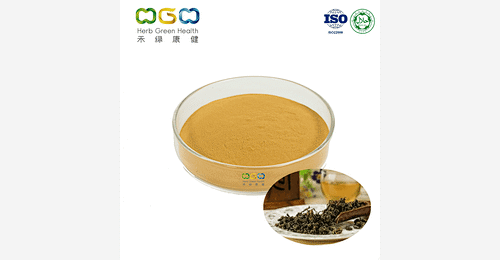 Instant Oolong Tea Powder Manufacturer - Herb Green Health
