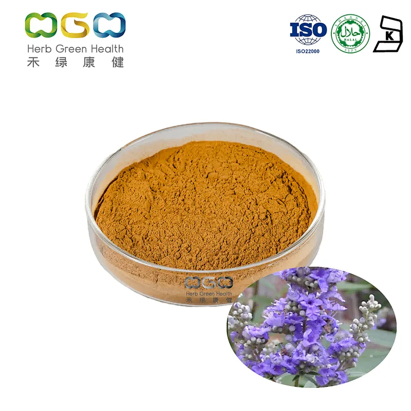 Chasteberry Fruit Extract Manufacturer - Herb Green Health