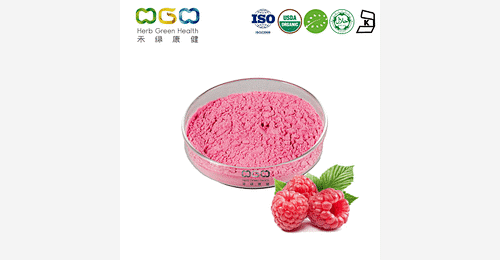 Organic Raspberry Extract Manufacturer-Herb Green Health