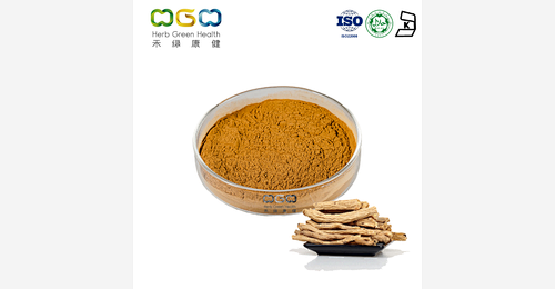 Radix Codonopsis Extract Manufacturer - Herb Green Health