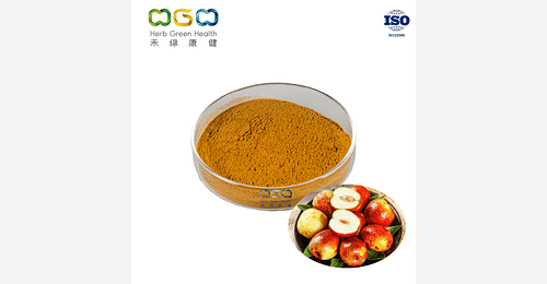 Jujubae Fructus Extract Manufacturer - Herb Green Health