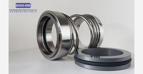 conical spring mechanical seal - , Manufacturer – Zhangjiagang Asino ...