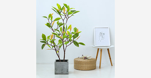 Artificial Red Mangrove Tree , Guangzhou Haihong Gardening and ...