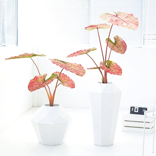 indoor decorative trees , - Guangzhou Haihong Gardening and Landscaping ...