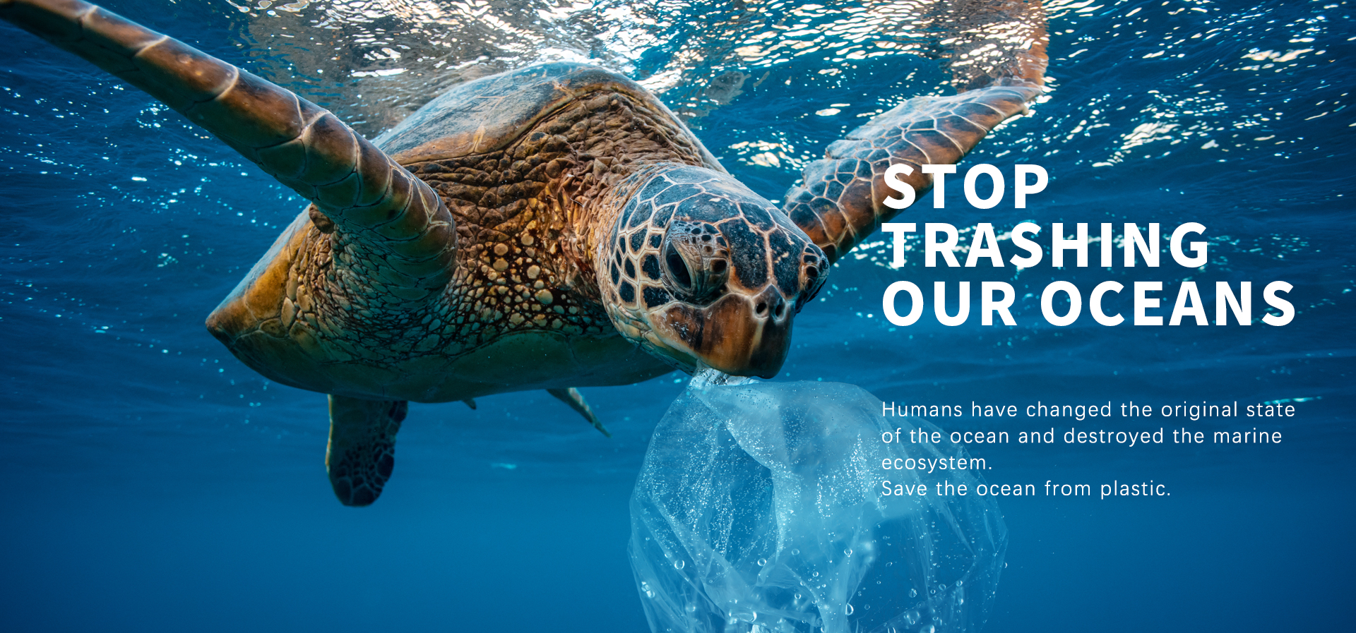 plastic bag+supplier+manufacturer|Goolien