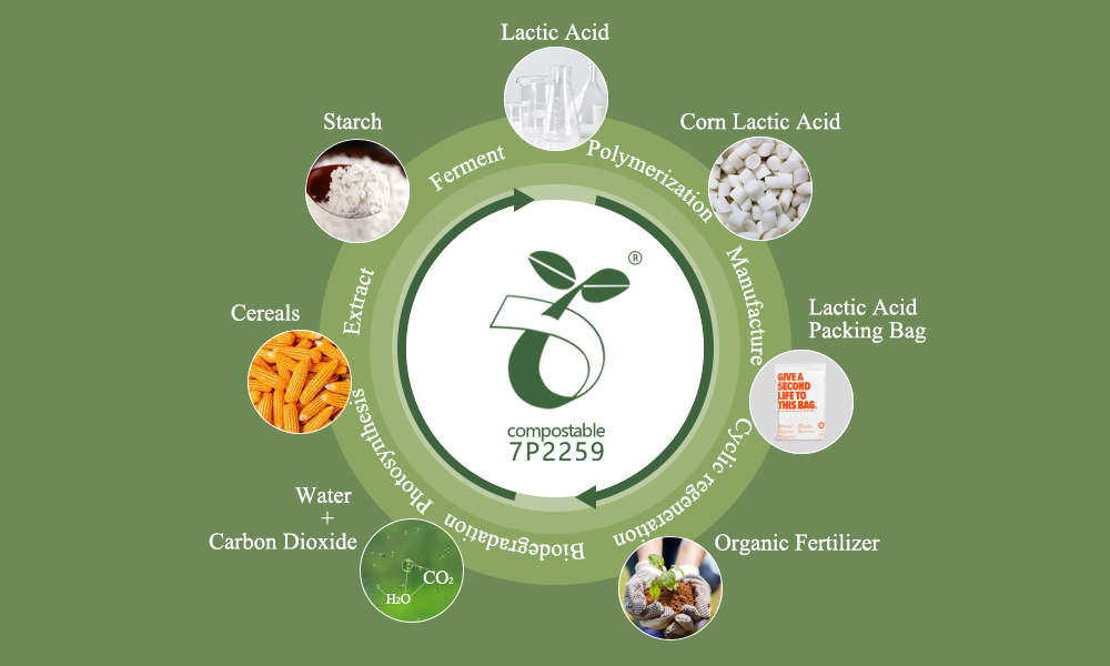 Polylactic acid (PLA)