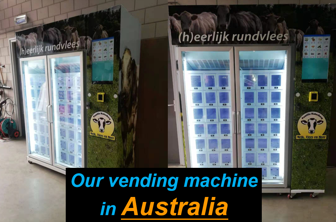 Frozen Food Vending Machine for Ice Cream Seafood