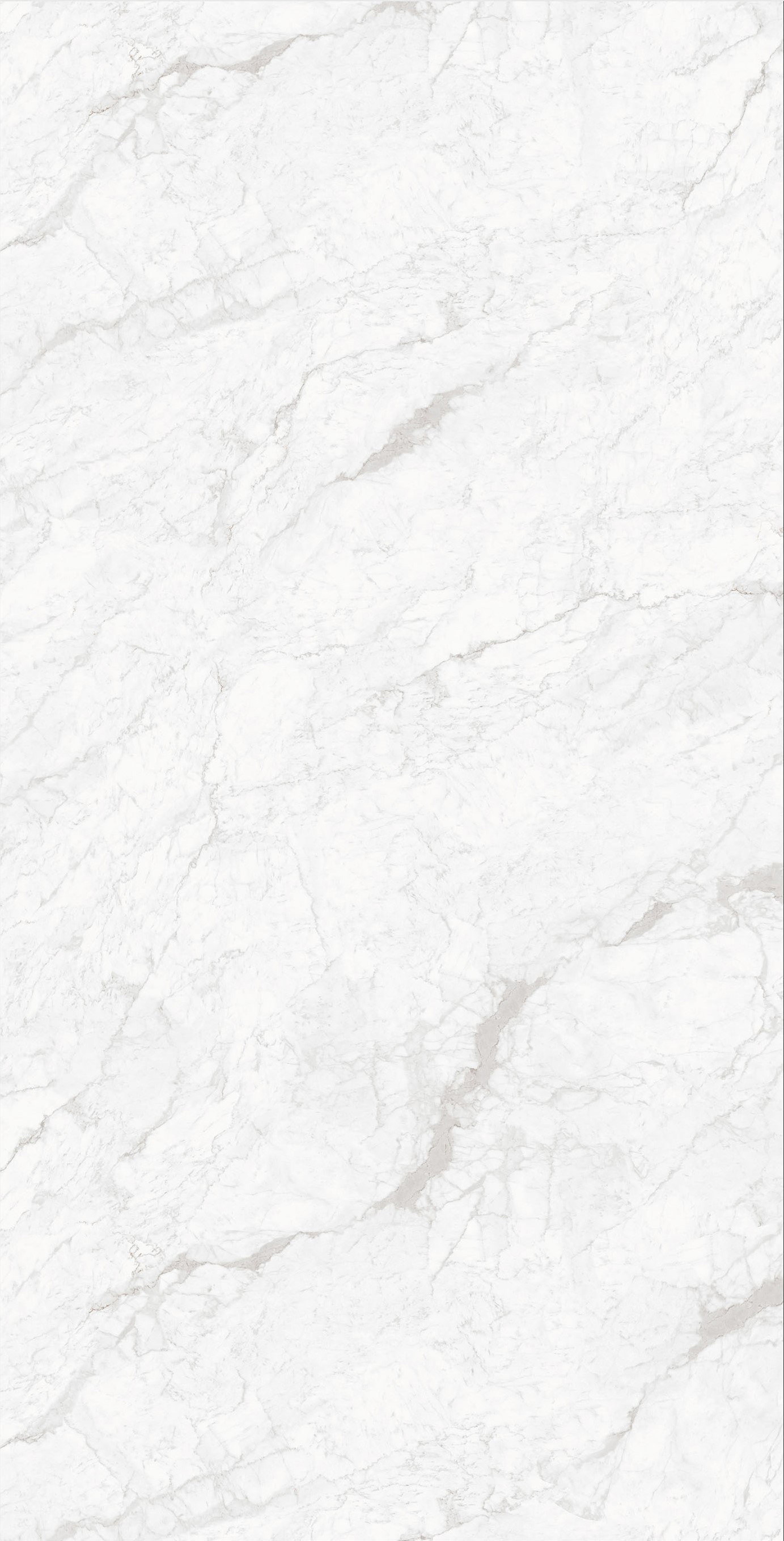 VENICE WHITE | marble slab company Supplier-Elephome Ceramics