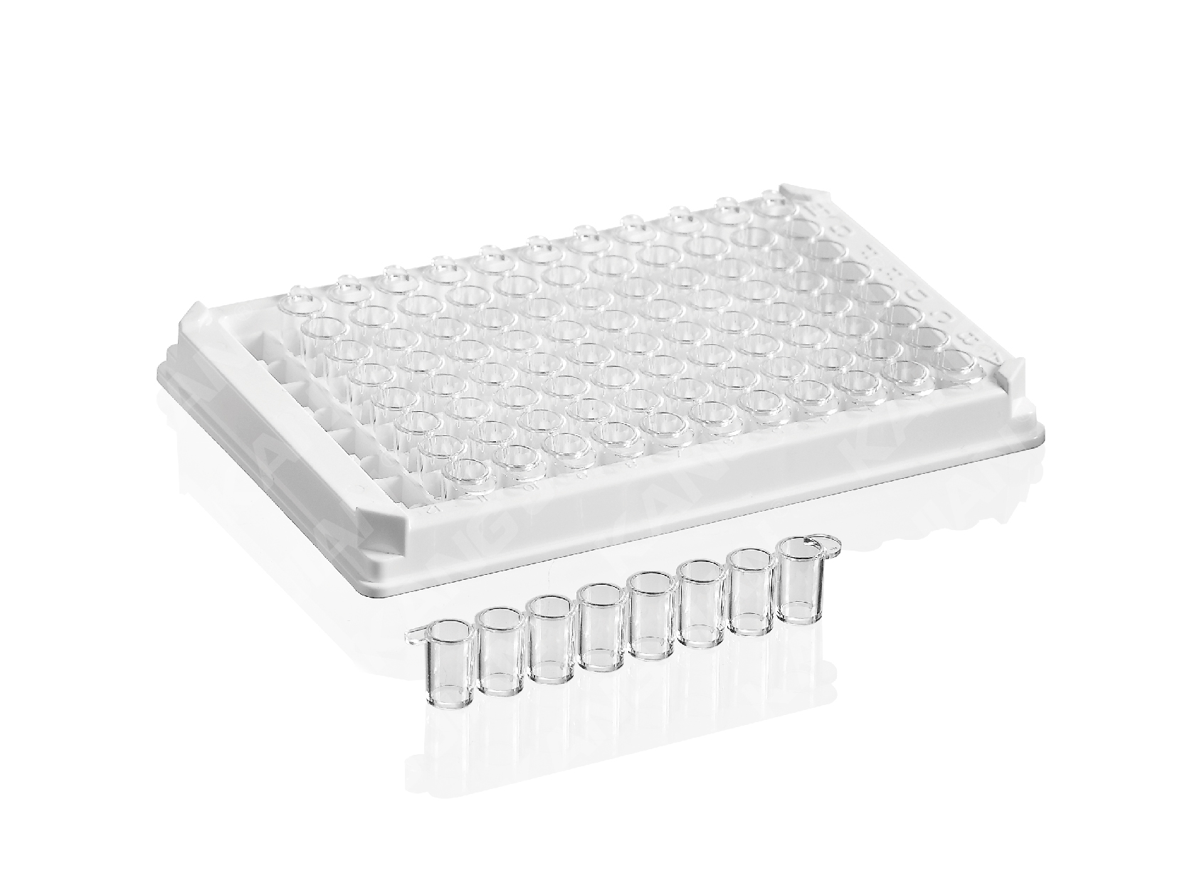 Culture Plate - Yongkang Medical