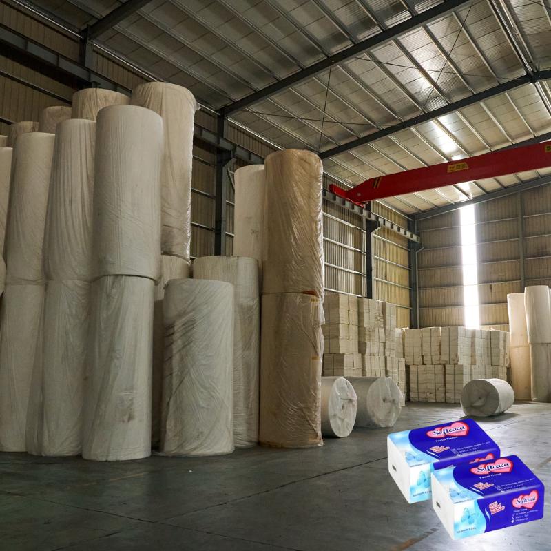 More About the Parent Tissue Jumbo Roll - Baoding Hozhong Hygienic ...