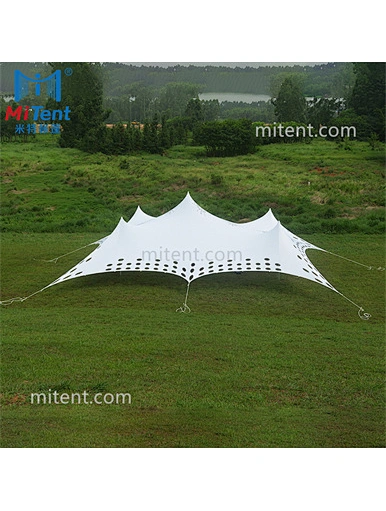 stretch tent 10m x 10m cheese tent wedding party tent