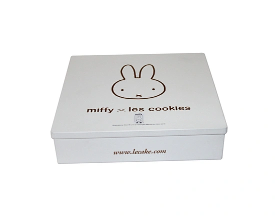 10 inch square cake tin | dgtinbox.com