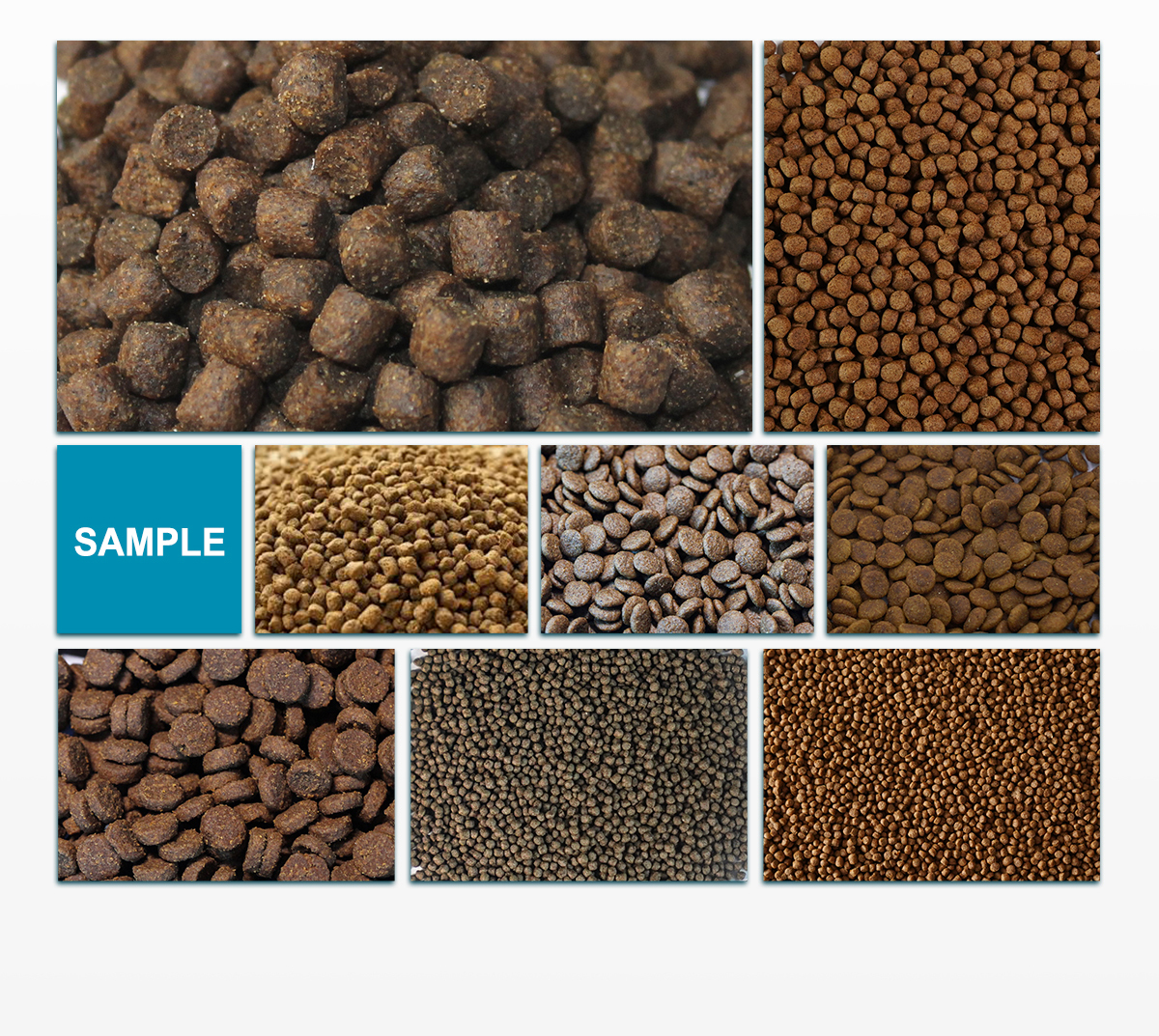 Fish Feed Making Machine , AYT-135 Double Screw Extruder , sinking fish ...