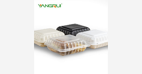 yangrui Clear Take Out Containers - clear clamshell packaging and ...