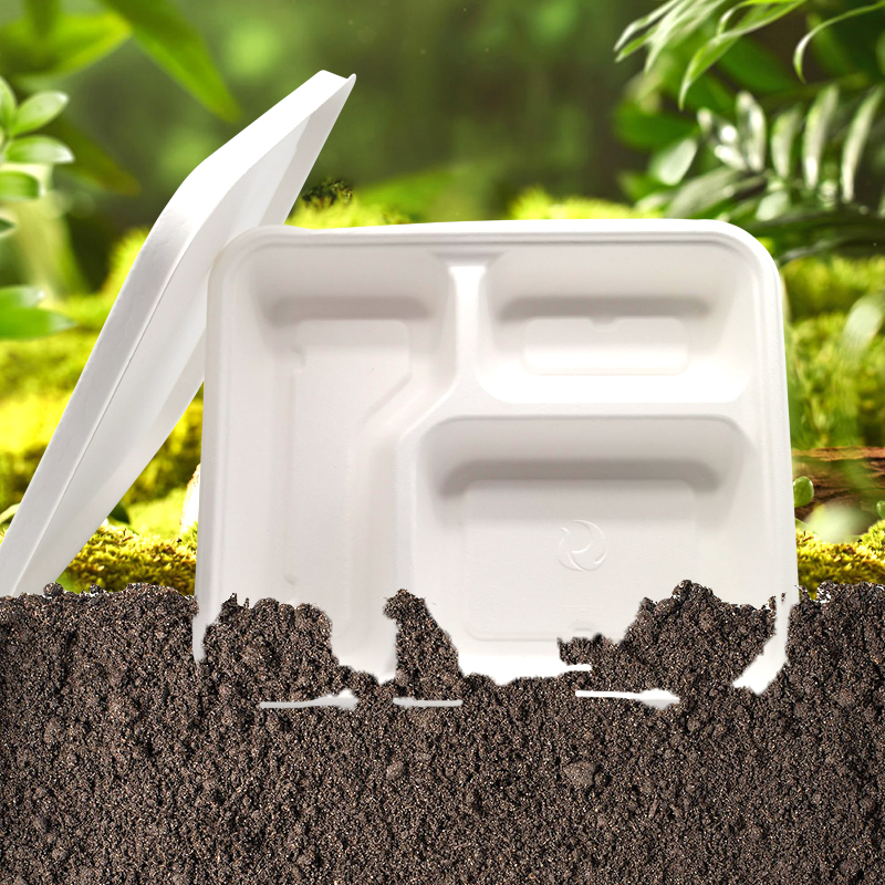 Versatile Solutions: Microwavable Take Out Food Containers, 3 ...