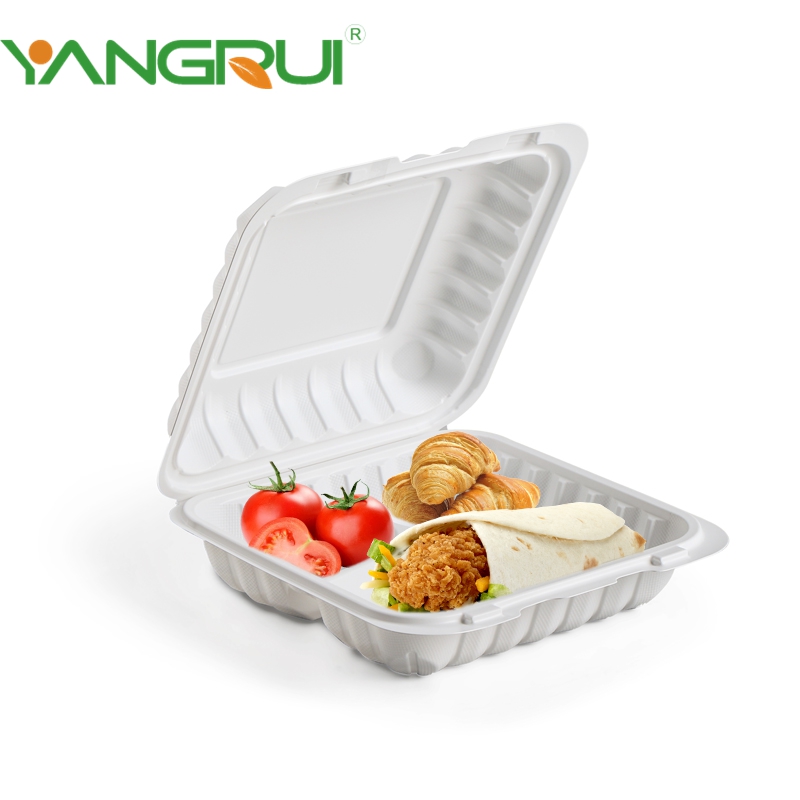 Fresh and Organized: Plastic Veggie Tray with Lid, Spacious Rectangular ...