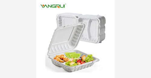 White MFPP Food Container - biodegradable food containers manufacturer ...