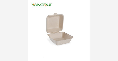 Sugarcane Burger Box - white chinese takeout boxes and clamshell food ...