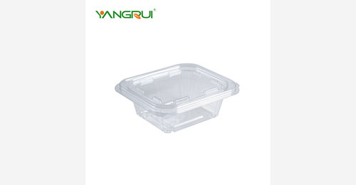 yangrui Transparent Food Container - eco friendly take out boxes and ...