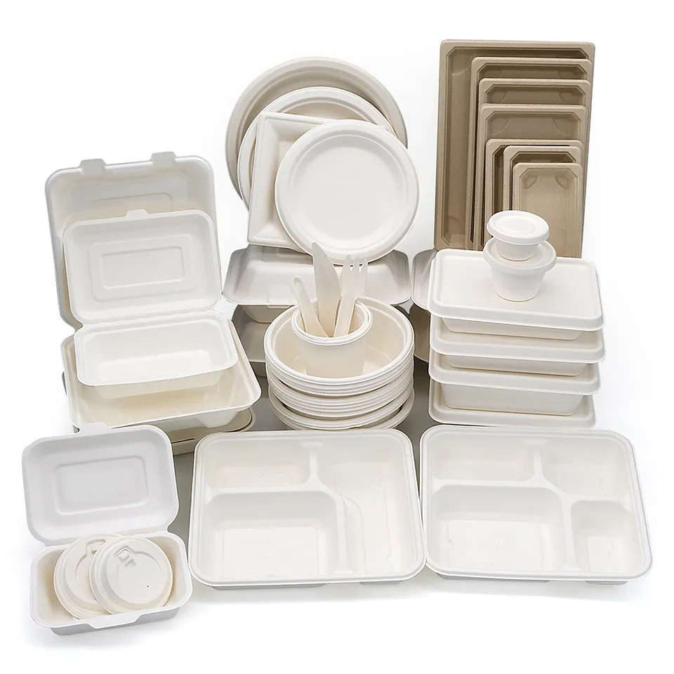 Sustainable Dining Solutions: Bagasse Bowls and Sugarcane Plates - yangrui