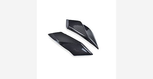 Kawasaki H2 Carbon Fiber Tail Sides Panels