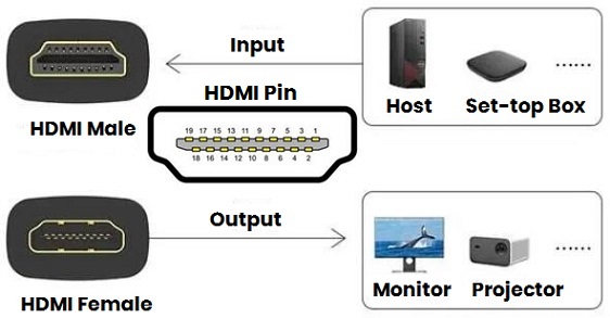 HDMI vs. DisplayPort: Which Should You Use for PC