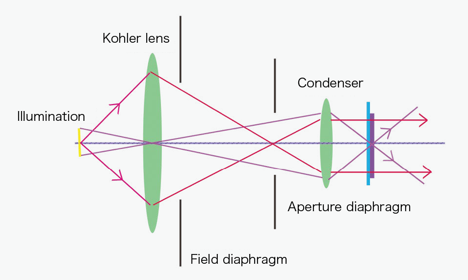 BS-4020B Trinocular Industrial Wafer Inspection Microscope-Trinocular Industrial Wafer ...