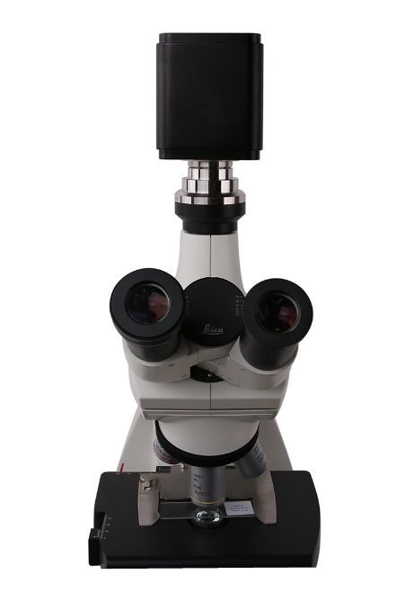 BWHC-4K8MPA 4K UHD HDMI/GigE/WiFi Multi-Outputs Microscope Camera (Sony ...