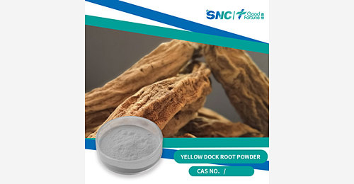 Yellow Dock Root Powder - SNC | Good Fortune