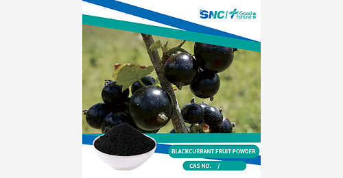 Blackcurrant Fruit - SNC | Good Fortune