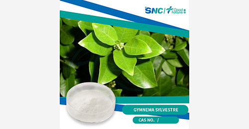 Gymnema Sylvestre Extract - SNC | Good Fortune