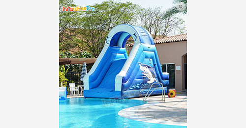 water slides inflatable for kids and adults , inflatable water slides ...