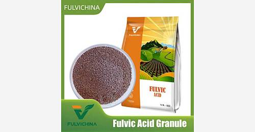 fulvic acid granule - Tianjin Fulvic Biotech Co., Ltd.