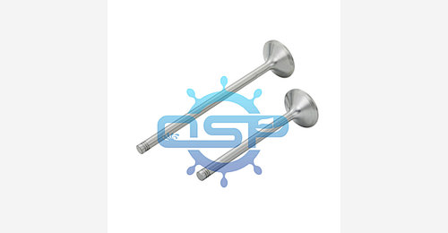 D50 engine valves , D50 intake valves , D50 Exhaust valves - Hebei ...