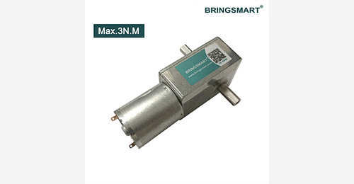 duel axel motor and worm gear dc motor 12v Manufacturer
