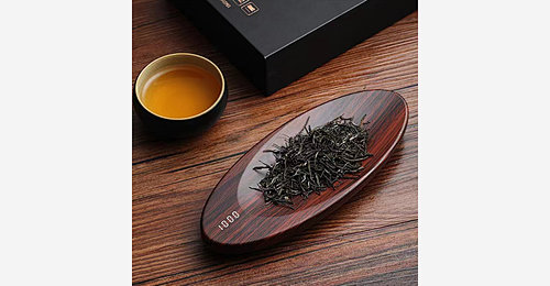 tea scale camellia | hostweigh.com