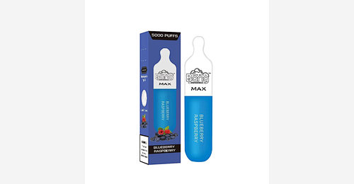 Bang max 5000 puffs Rechargeable Disposable vape