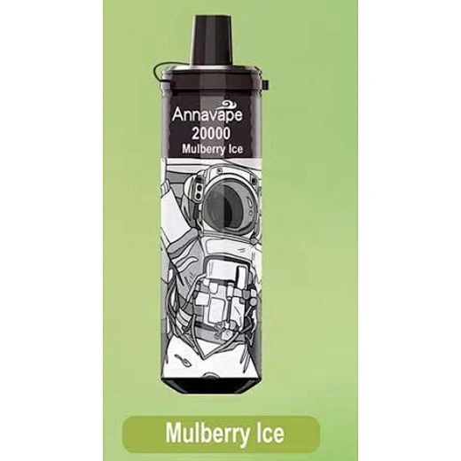 Annavape 20000 Puff Disposable Vape | Premium E-Cigarette with 10 ...