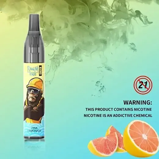 Randm Vase 600 Puff Disposable Vape | 20 Flavors, 600mAh Battery