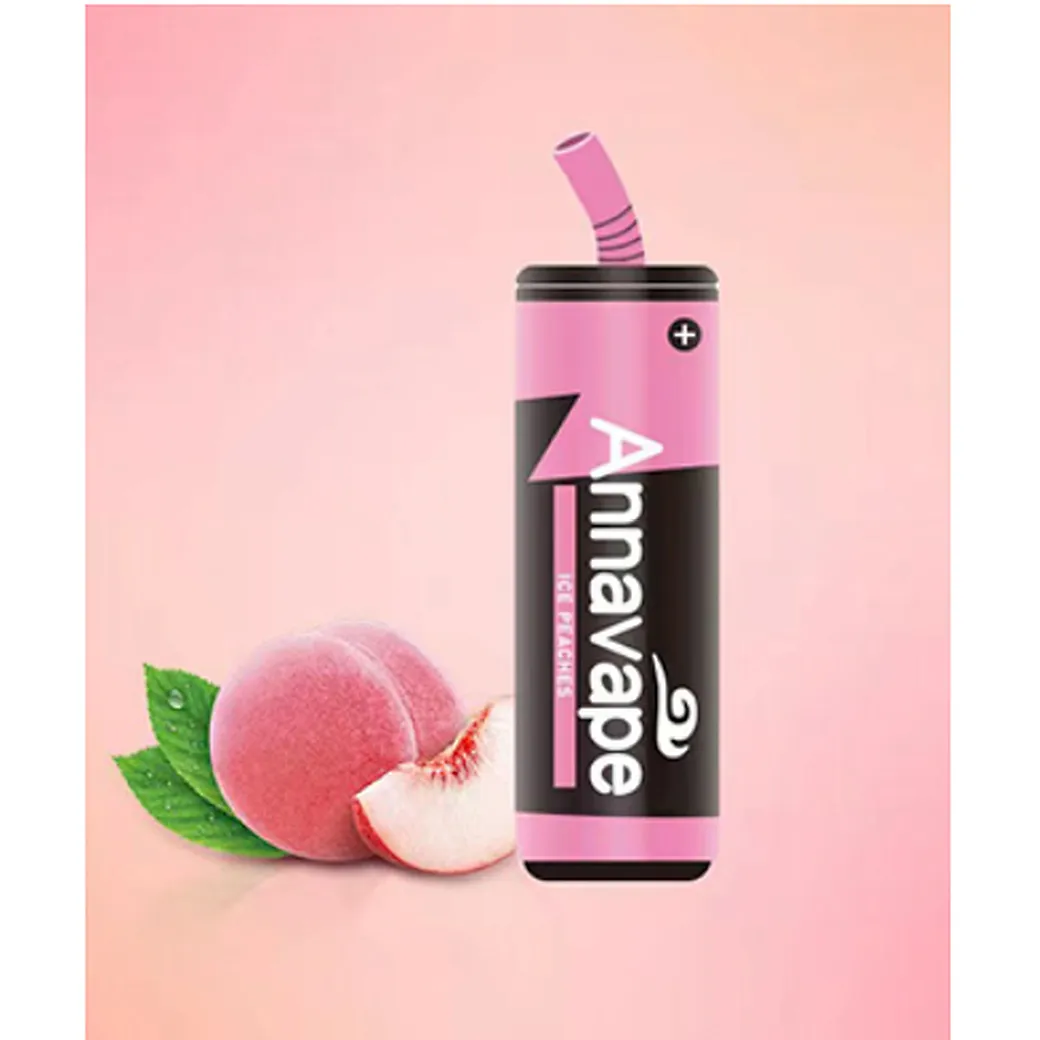 Annavape 6000 Puff Rechargeable Disposable Vape Pod | Sustainable